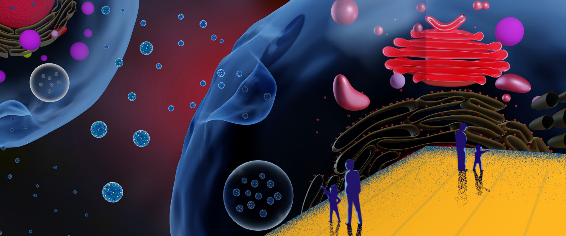 The Role of Exosomes as Biomarkers for Cancer