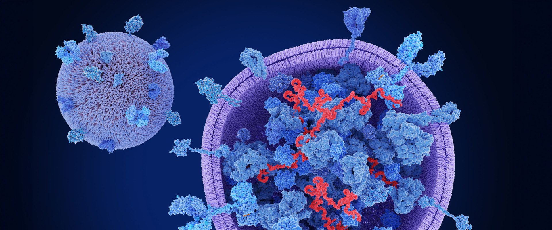 What are exosomes and why are exosomes important?